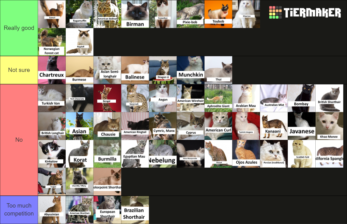 Cat Breeds Tier List (Community Rankings) - TierMaker