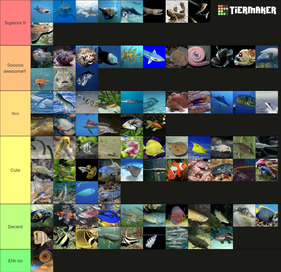 Fish Tier List (Community Rankings) - TierMaker