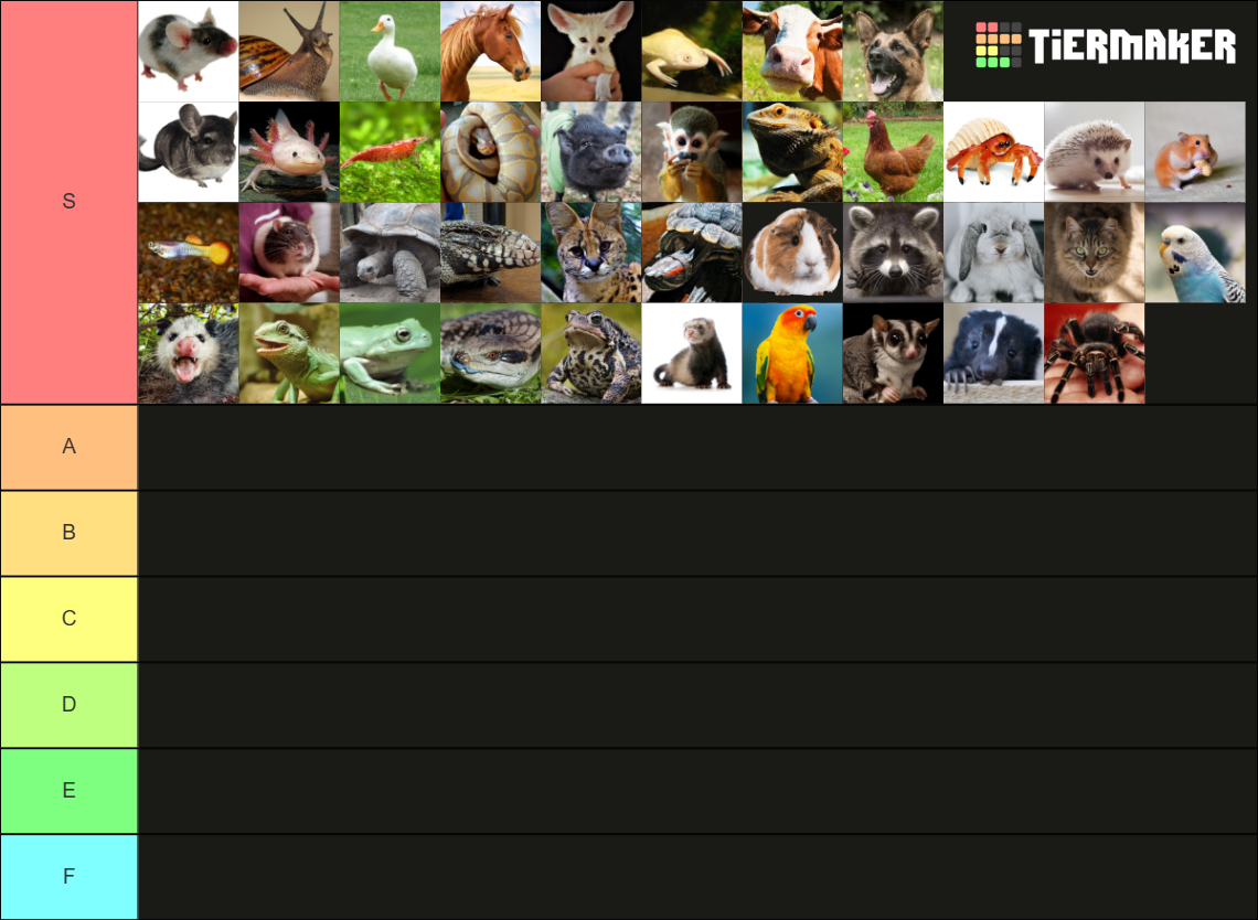 ULTIMATE PET TIER LIST Tier List (Community Rankings) - TierMaker
