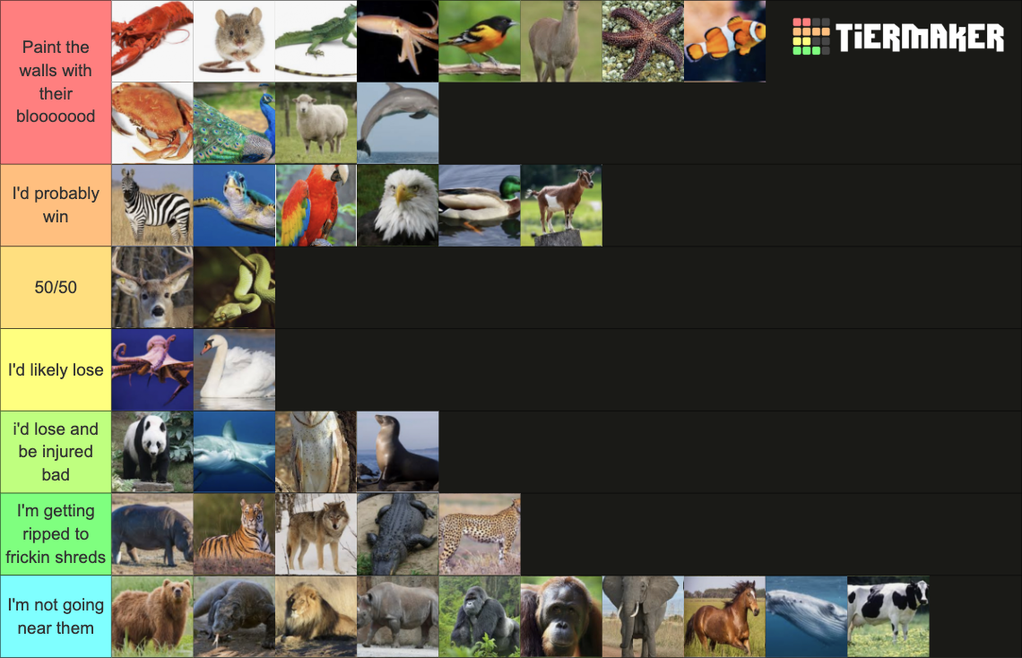 Animals I could beat in a fight Tier List (Community Rankings) - TierMaker