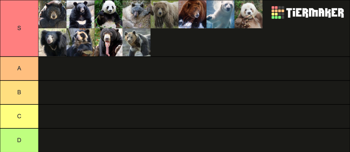 Bear Species Tier List (Community Rankings) - TierMaker