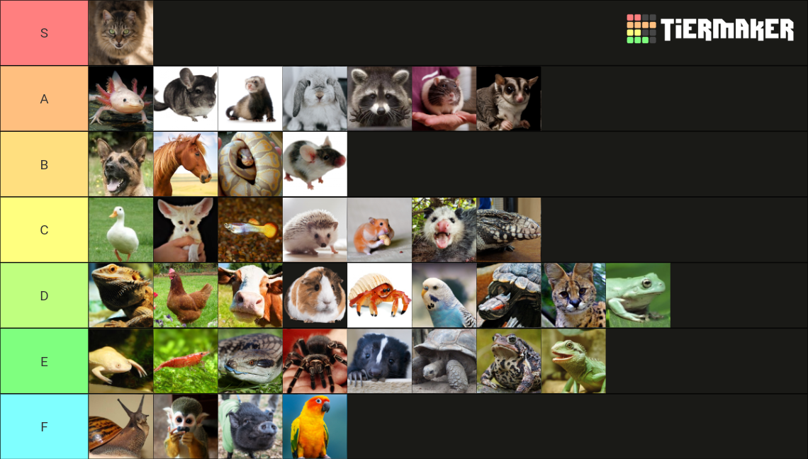 ULTIMATE PET TIER LIST Tier List (Community Rankings) - TierMaker