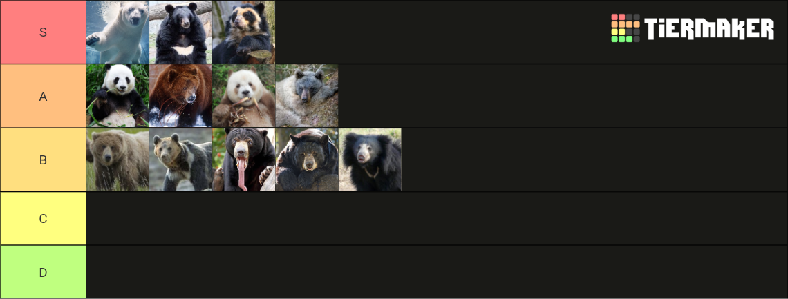 Bear Species Tier List (Community Rankings) - TierMaker