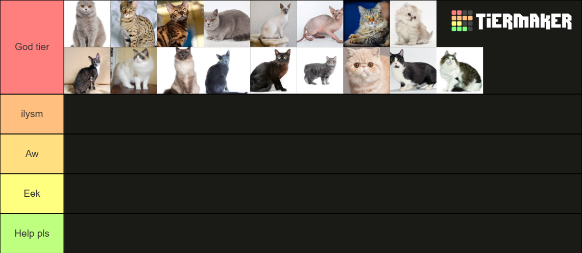 Cat breeds Tier List (Community Rankings) - TierMaker