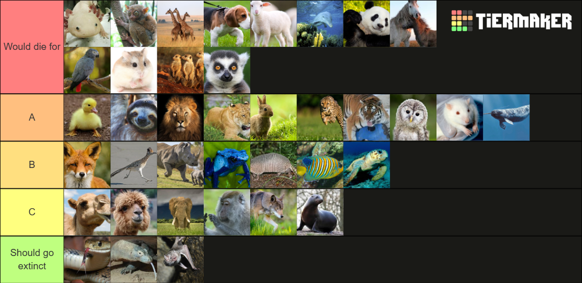 Recent Animals Tier Lists - TierMaker