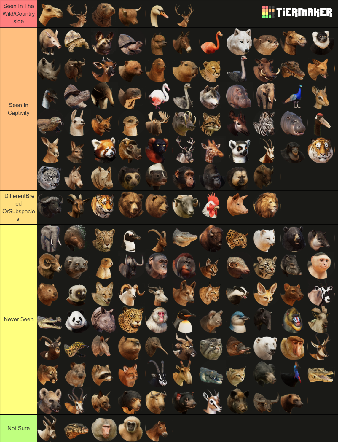 Planet Zoo Tier List (Community Rankings) - TierMaker