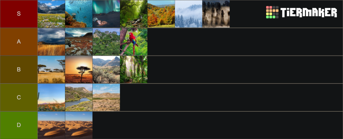 IRL Biome Tier List (Community Rankings) - TierMaker