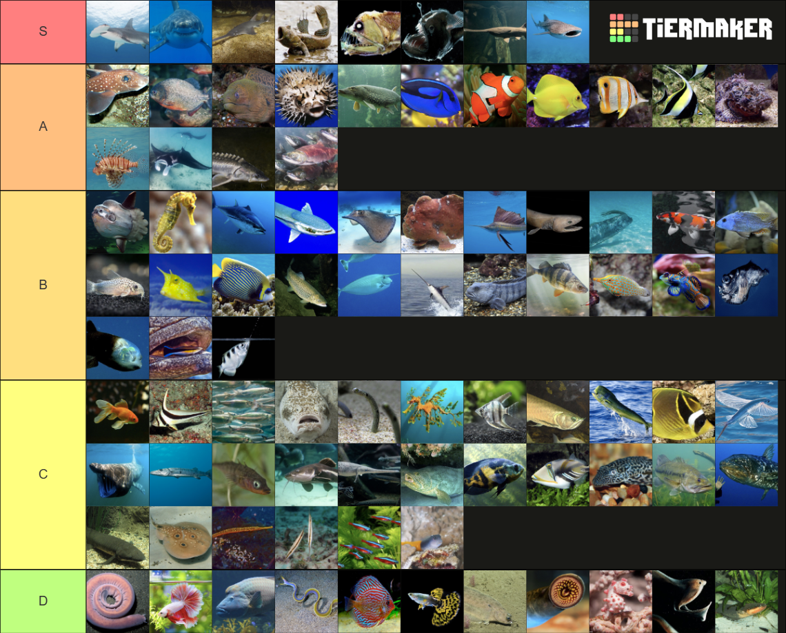 Fish Tier List (Community Rankings) - TierMaker