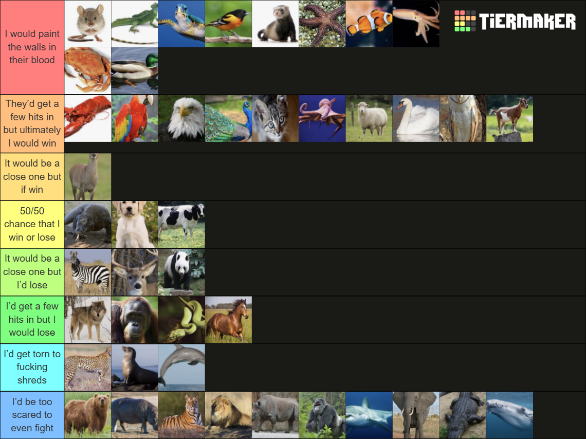 Animals I could beat in a fight Tier List (Community Rankings) - TierMaker