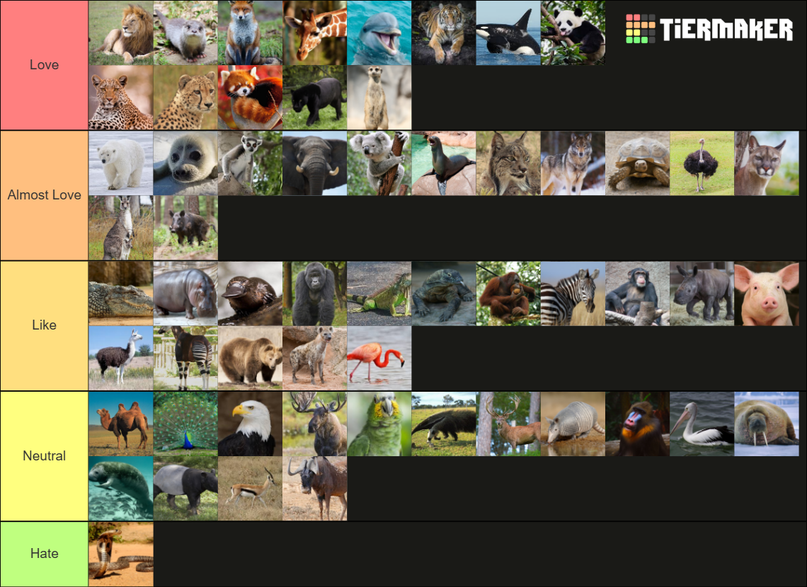 Zoo Animals Tier List (Community Rankings) - TierMaker