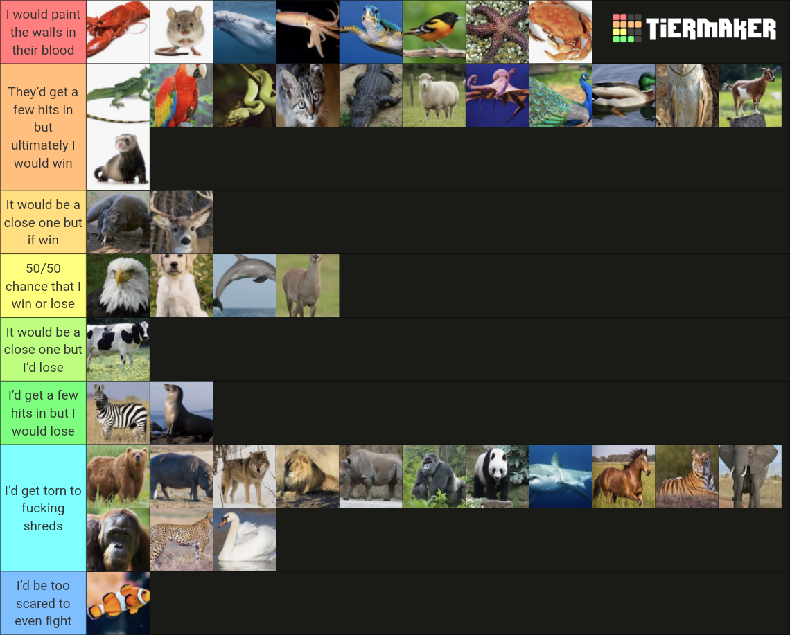 Animals I could beat in a fight Tier List (Community Rankings) - TierMaker