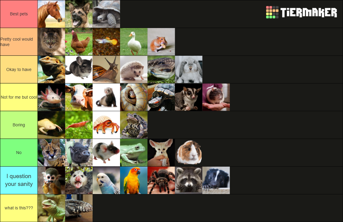 ULTIMATE PET TIER LIST Tier List (Community Rankings) - TierMaker