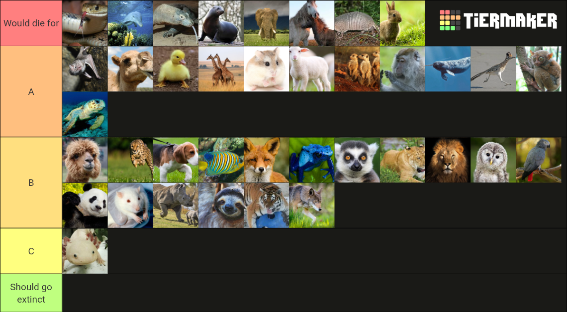 Animals Tier List (Community Rankings) - TierMaker