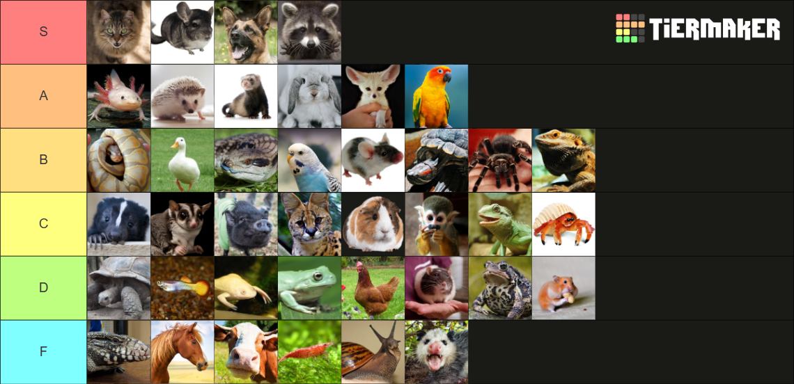 ULTIMATE PET TIER LIST Tier List (Community Rankings) - TierMaker