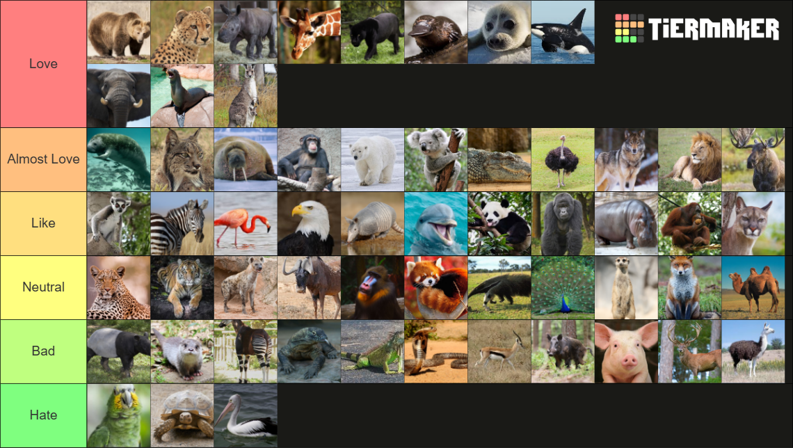 Zoo Animals Tier List (Community Rankings) - TierMaker