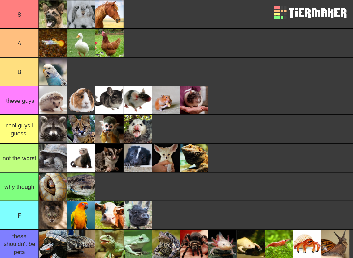 ULTIMATE PET TIER LIST Tier List (Community Rankings) - TierMaker
