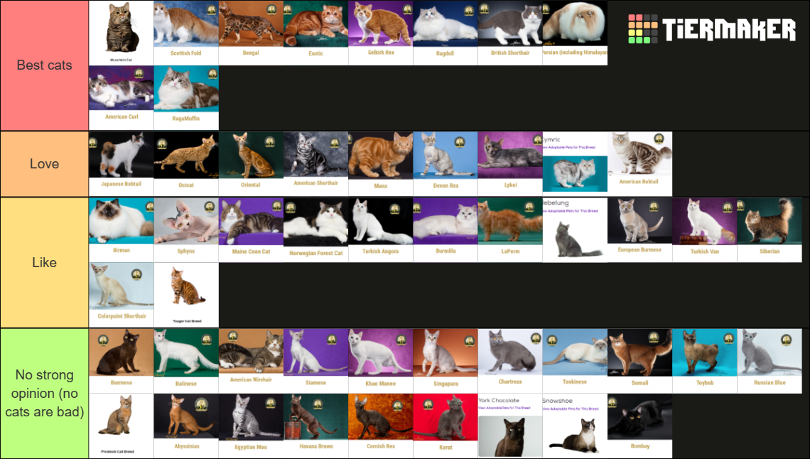 Cat Breeds labeled images 2nd round Tier List (Community Rankings ...