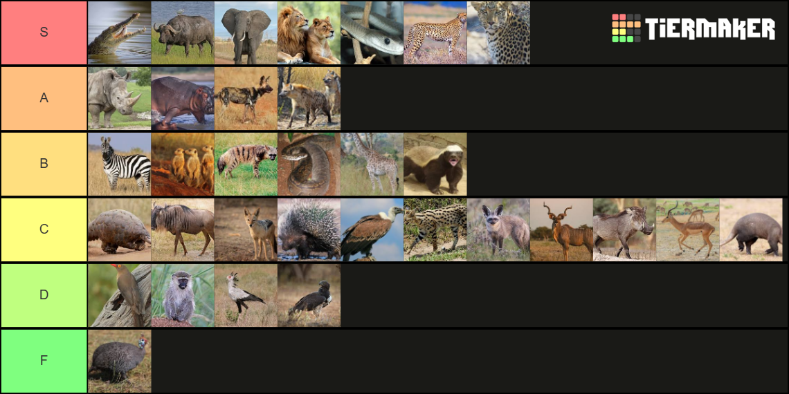 African animals Tier List (Community Rankings) - TierMaker