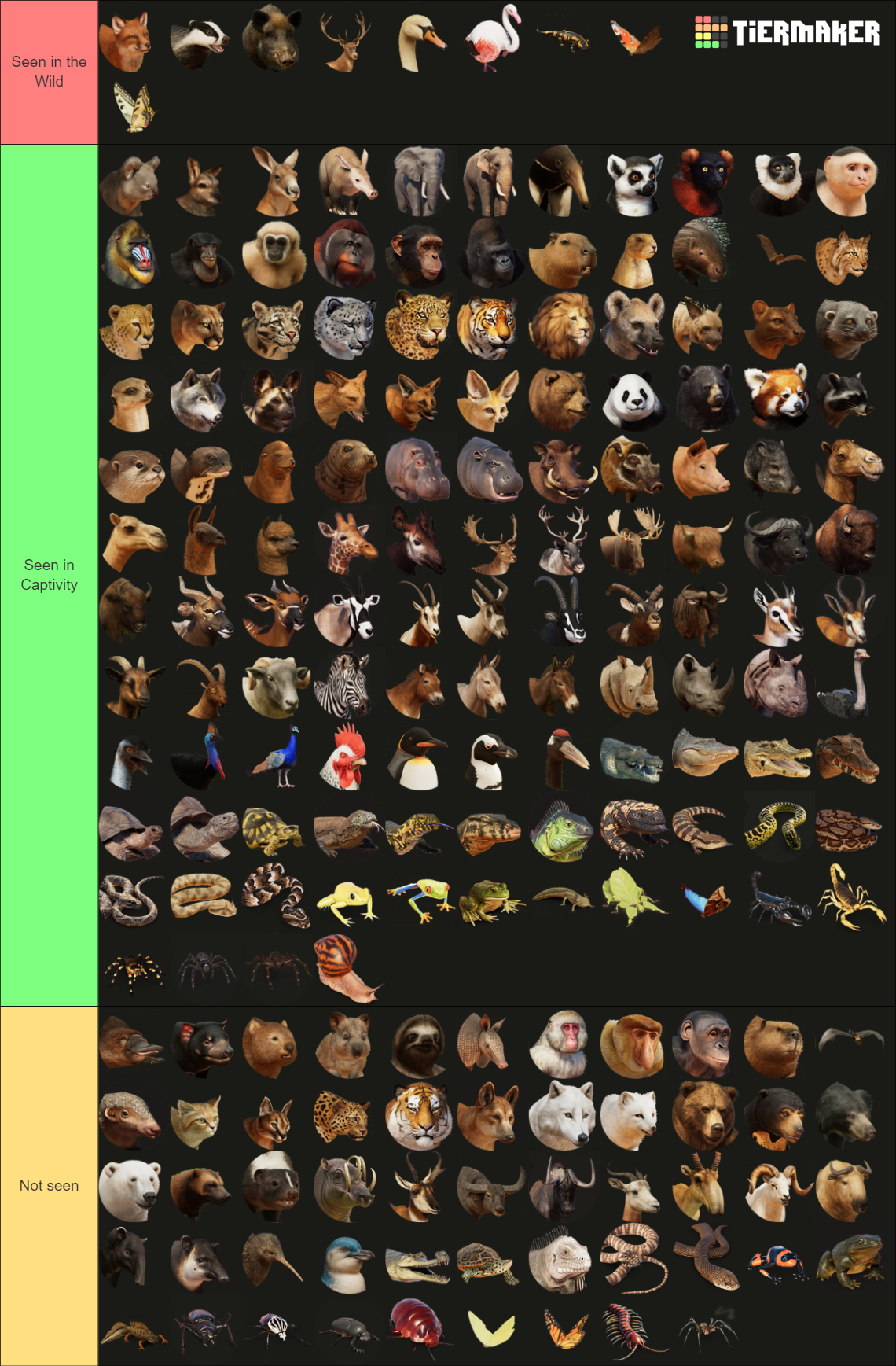 Planet Zoo Tier List (Community Rankings) - TierMaker