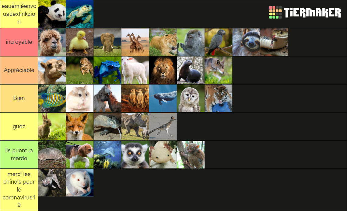 Animals Tier List (Community Rankings) - TierMaker