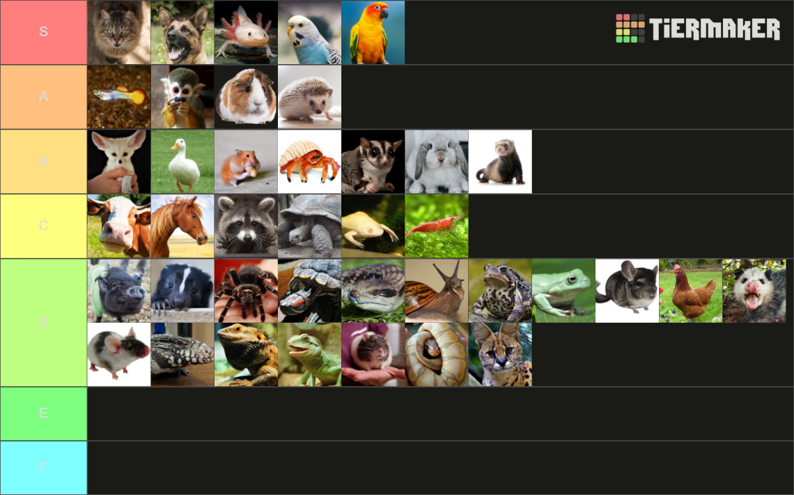 Recent Animals Tier Lists - TierMaker