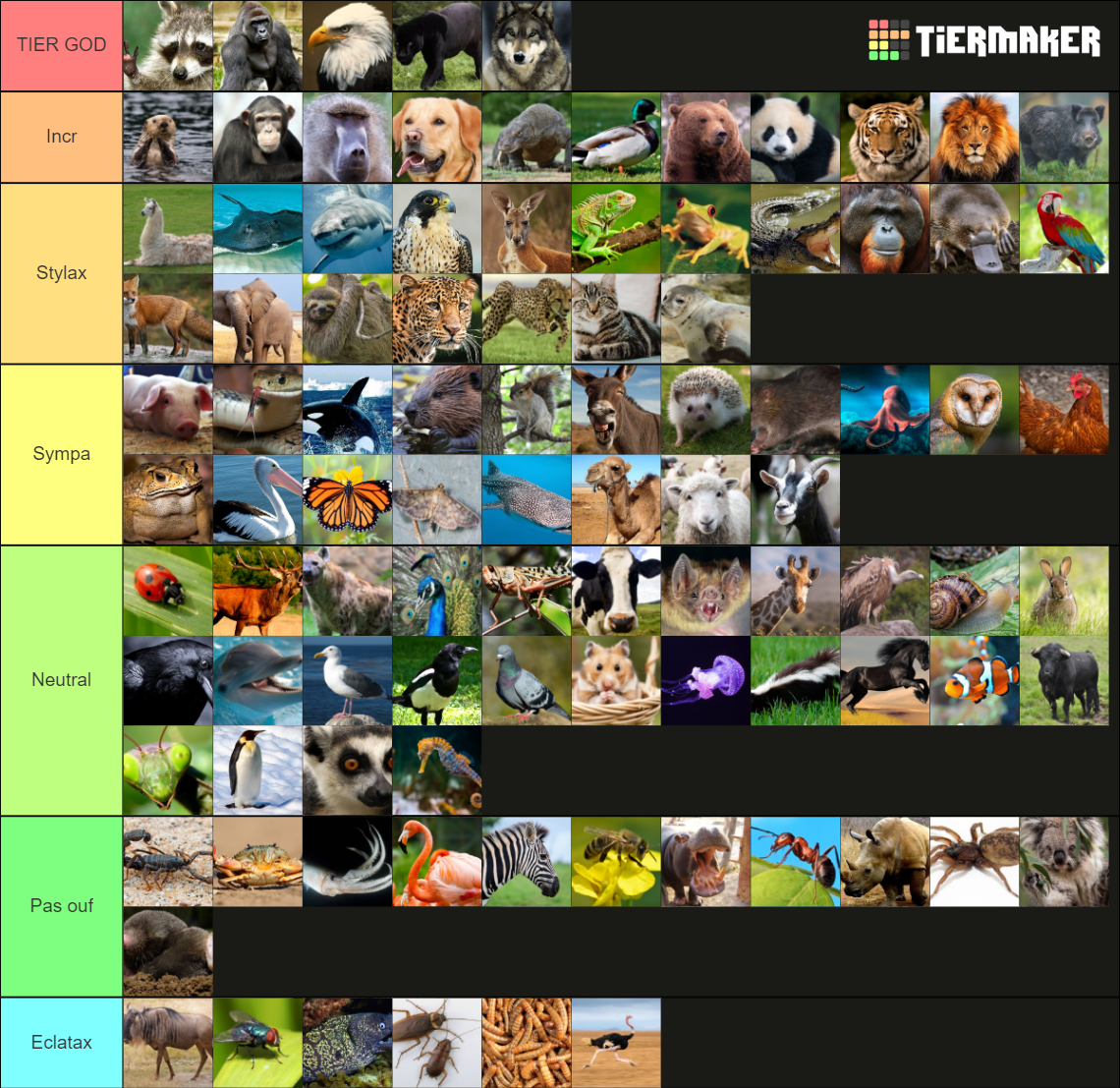 TIER LIST 100 ANIMALES SUPER DEFINITIVO Tier List (Community Rankings ...