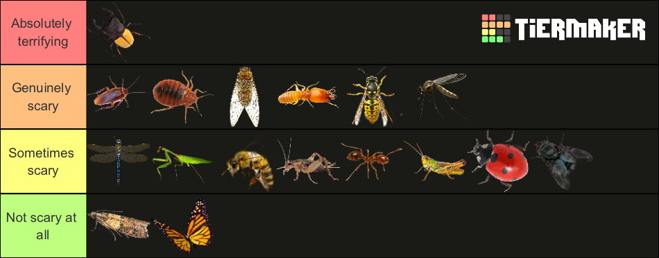 Insects Tier List (Community Rankings) - TierMaker