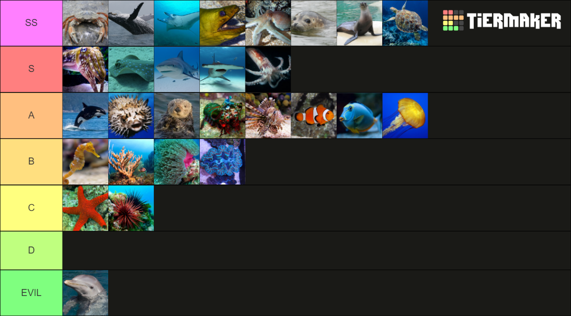 Marine Life Tier List (Community Rankings) - TierMaker