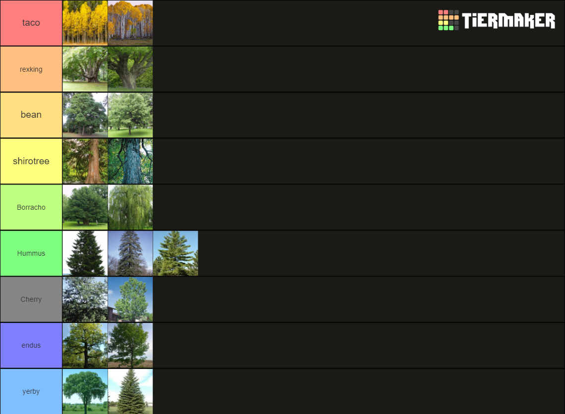 Trees Tier List (Community Rankings) - TierMaker