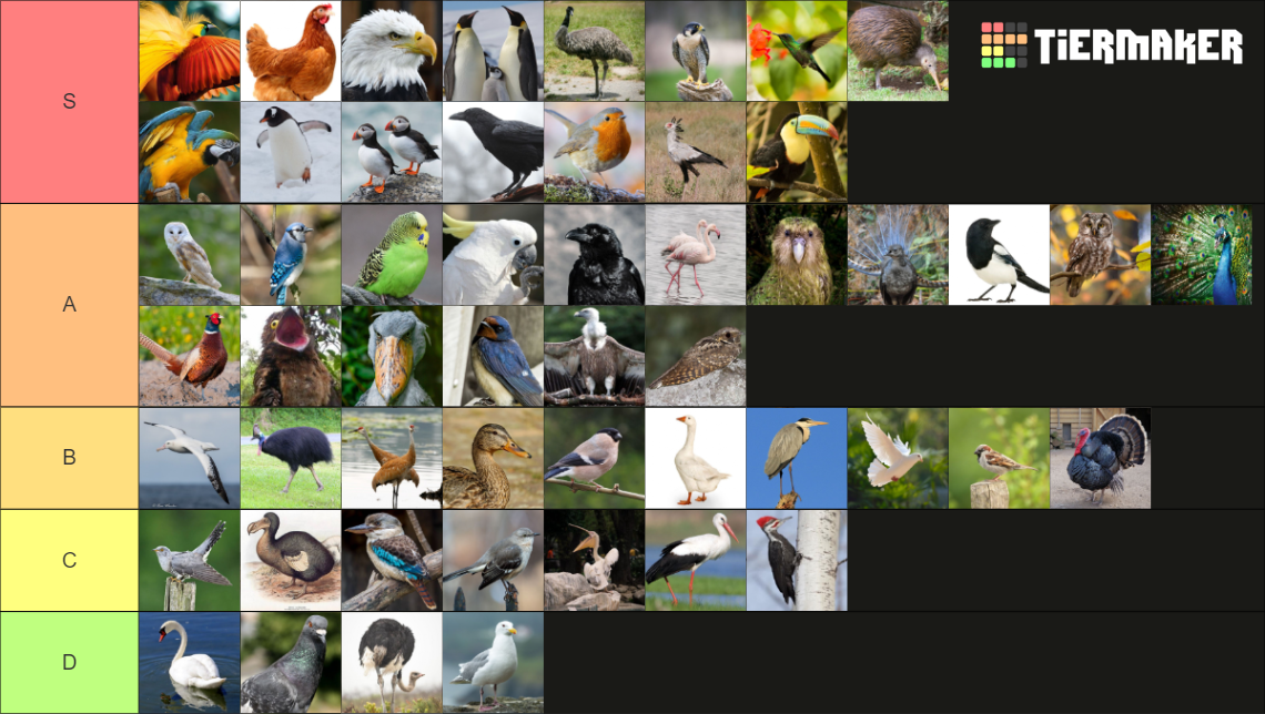 Iconic Birds Tier List (Community Rankings) - TierMaker