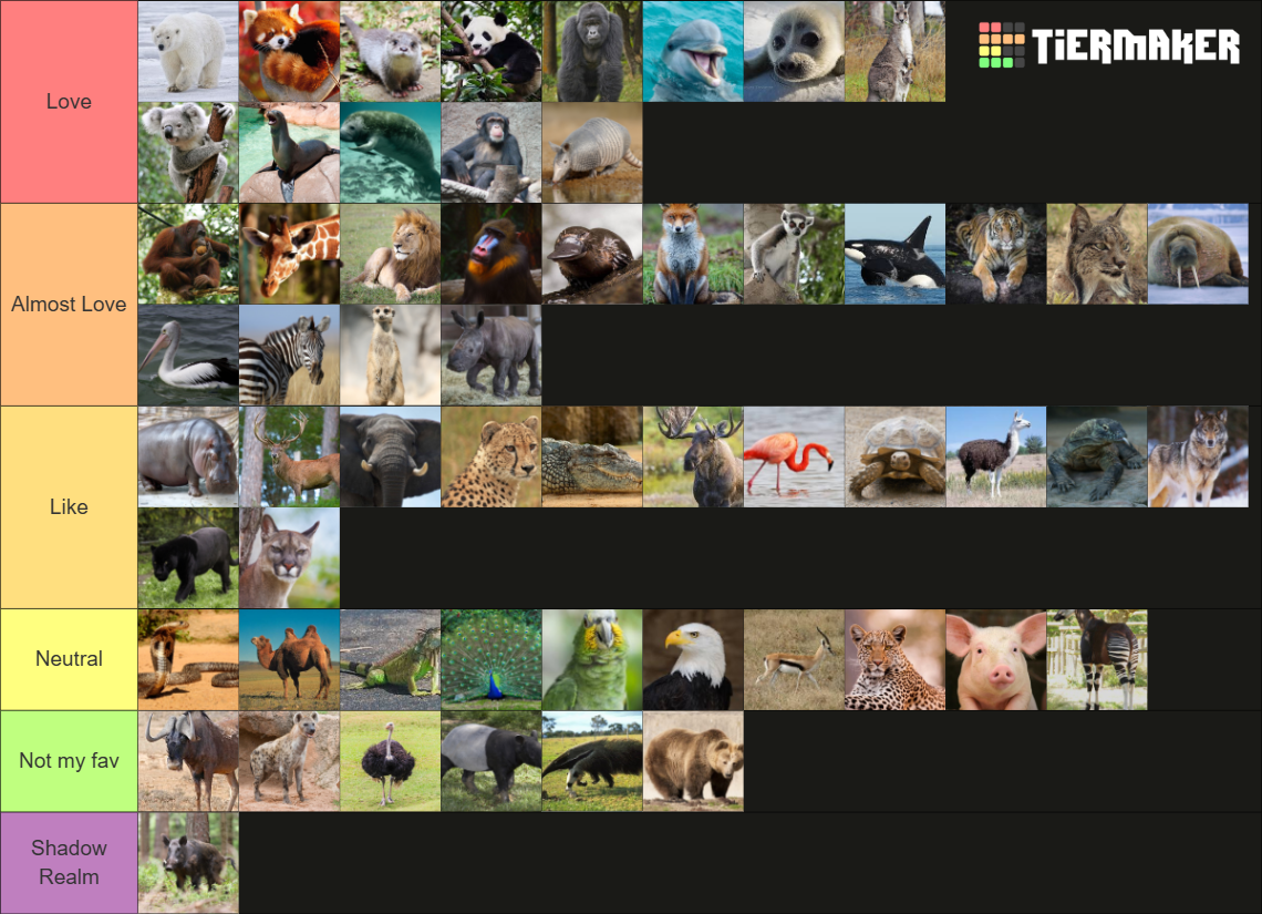 Zoo Animals Tier List (Community Rankings) - TierMaker