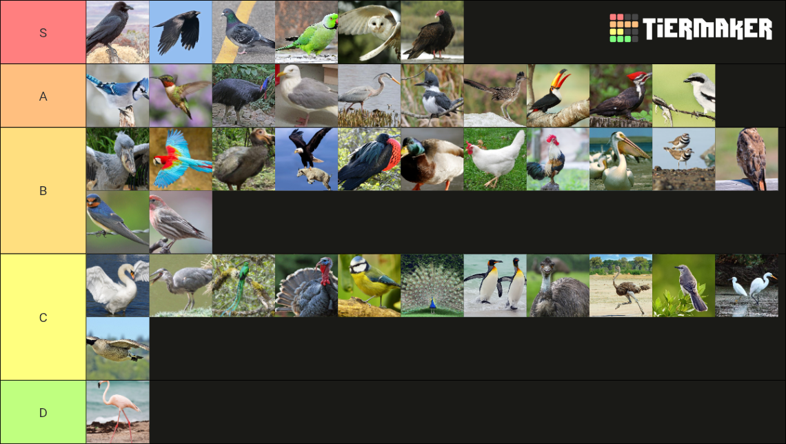 Bird TierList Tier List (Community Rankings) - TierMaker