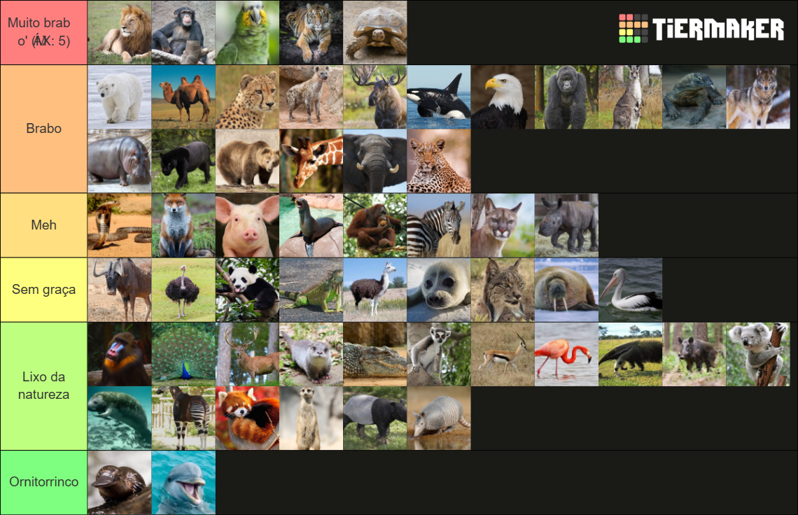 Zoo Animals Tier List (Community Rankings) - TierMaker