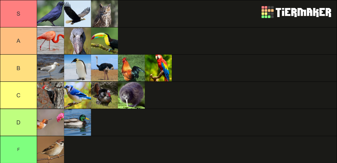 Bird game 3 (bird ) + ALL THE DLCS Tier List (Community Rankings) - TierMaker