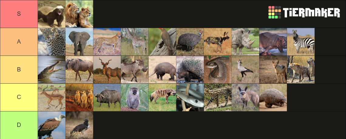 African animals Tier List (Community Rankings) - TierMaker