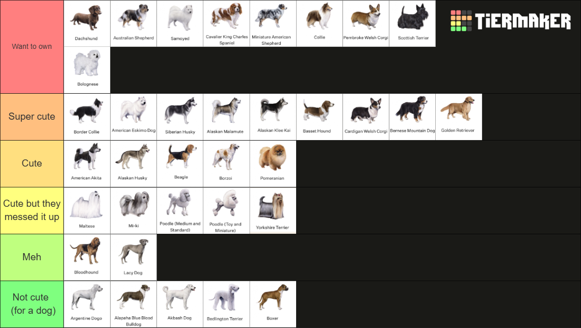 Dog Breeds illustrated names Tier List (Community Rankings) - TierMaker