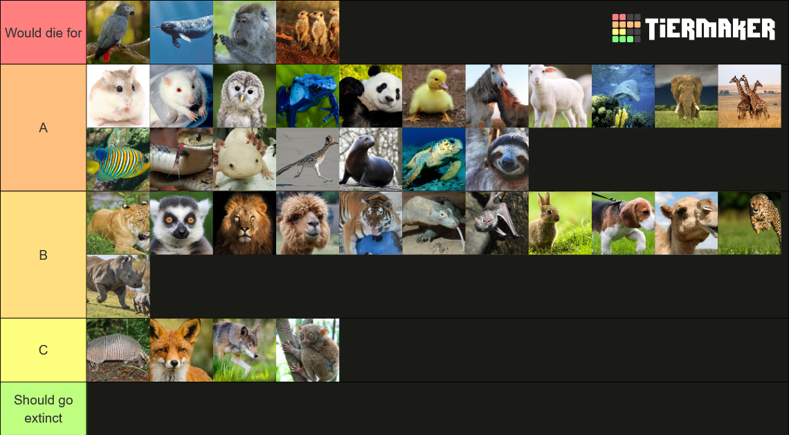 Animals Tier List (Community Rankings) - TierMaker