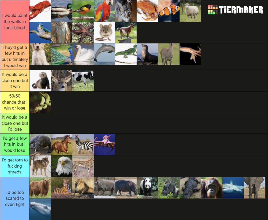 Animals I could beat in a fight Tier List (Community Rankings) - TierMaker