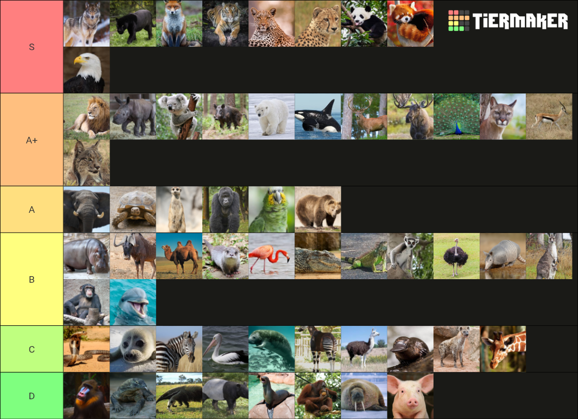 Zoo Animals Tier List (Community Rankings) - TierMaker