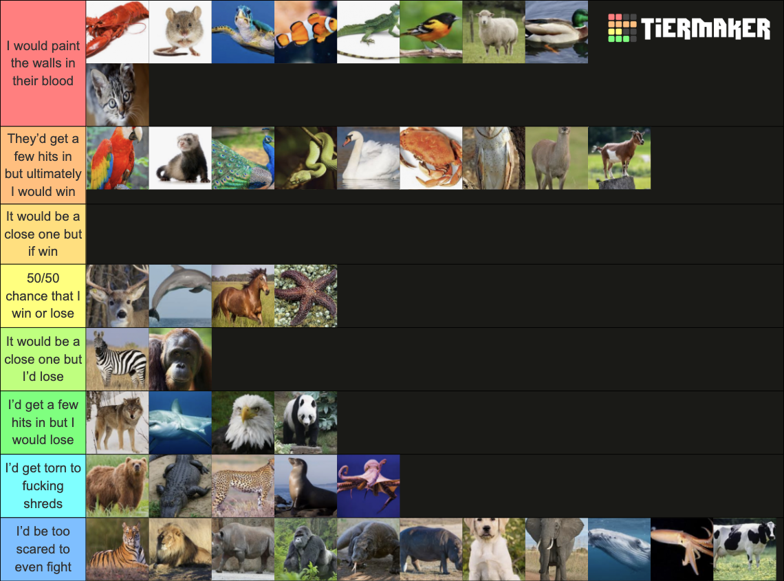 Animals I could beat in a fight Tier List (Community Rankings) - TierMaker