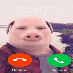 Memes Del Cerdito