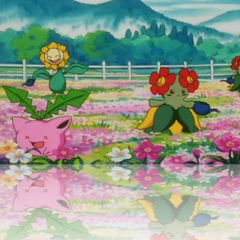 Create a Flower Pokémon Tier List - TierMaker