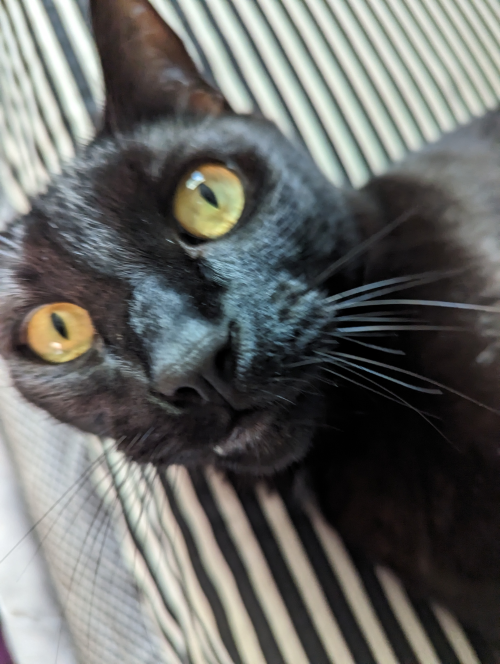 "Zaddy" 😳💀🤤 Tier List (Community Rankings) - TierMaker