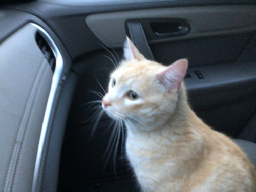 Create a 100 game characters (1.2) Tier List - TierMaker