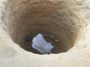 astion falacio Tier List (Community Rankings) - TierMaker