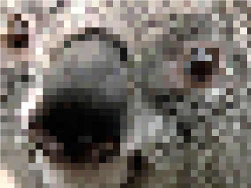 Create a Windows 7 Sample Pictures Tier List - TierMaker