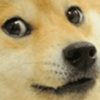 Dogelore characters Tier List (Community Rankings) - TierMaker