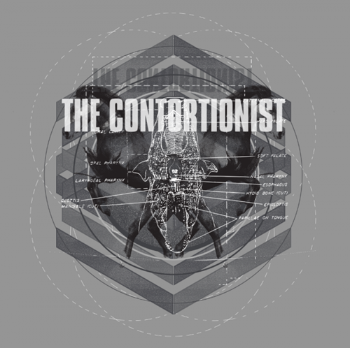 THE CONTORTIONIST discography Tier List (Community Rankings) - TierMaker