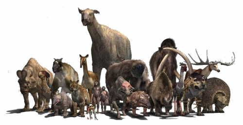 Create a Cenozoic Tier List - TierMaker