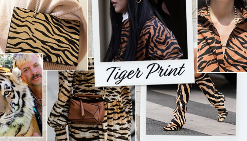 Create a 2020 fashion trends Tier List - TierMaker